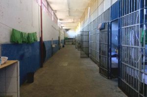 População carcerária no Brasil ultrapassa 700 mil e já é a terceira ...